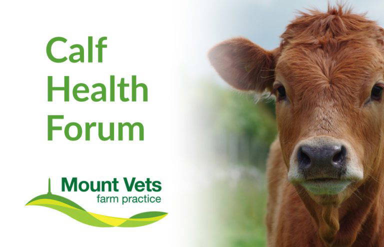 Calf Health Forum - Mount Vets | Farm, Poultry & Gamebird