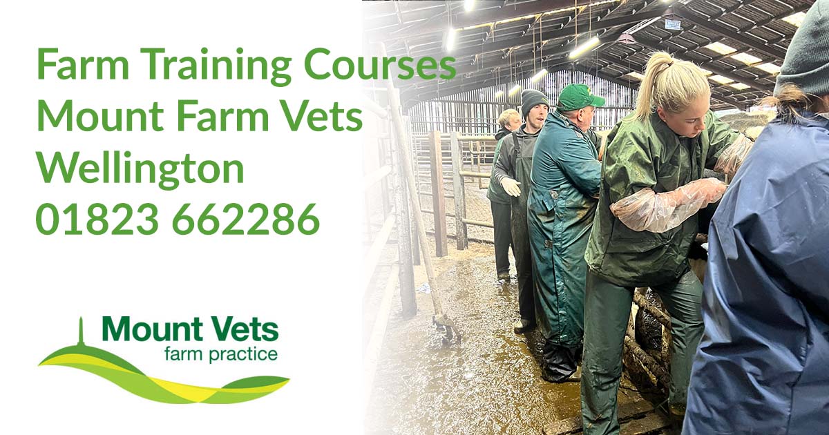 Farm Training Course | Mount Farm Vets | Wellington