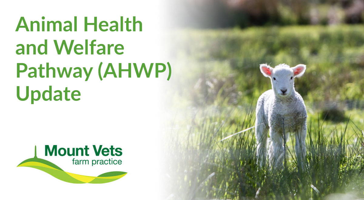 Animal Health and Welfare Pathway (AHWP) Update - Mount Vets | Farm ...