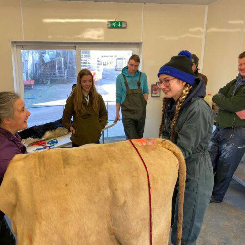 Farmers Newsletter January 2024 | Mount Vets Farm Vets