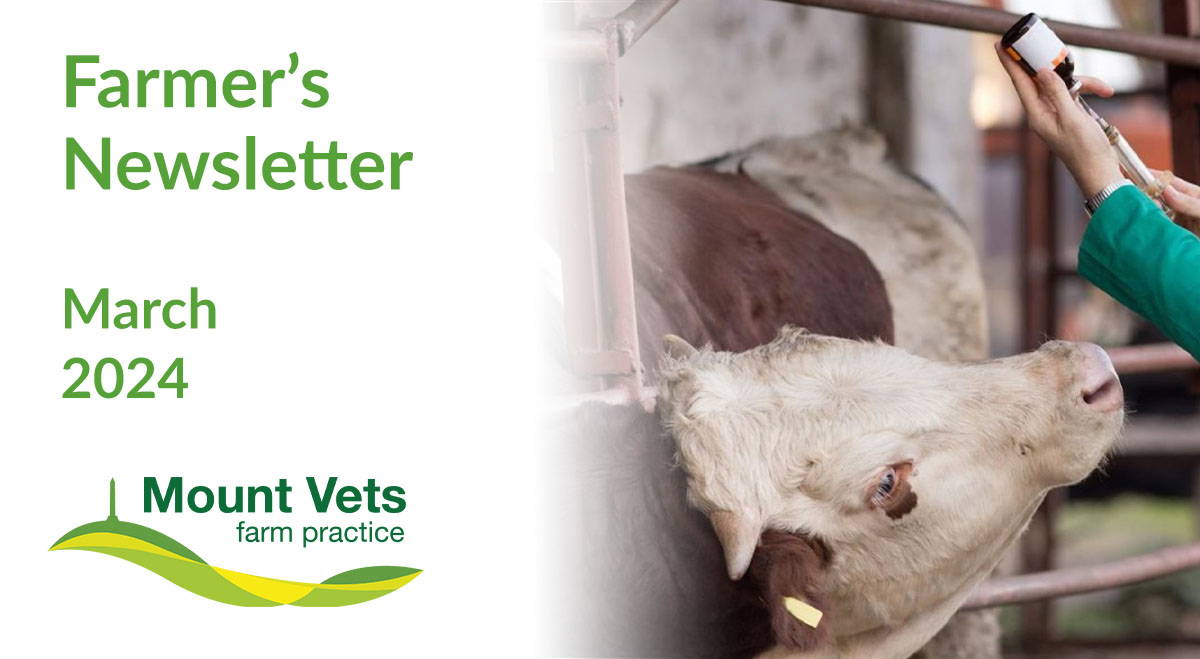 Farmers Newsletter Narch 2024 | Mount Vets Farm Vets